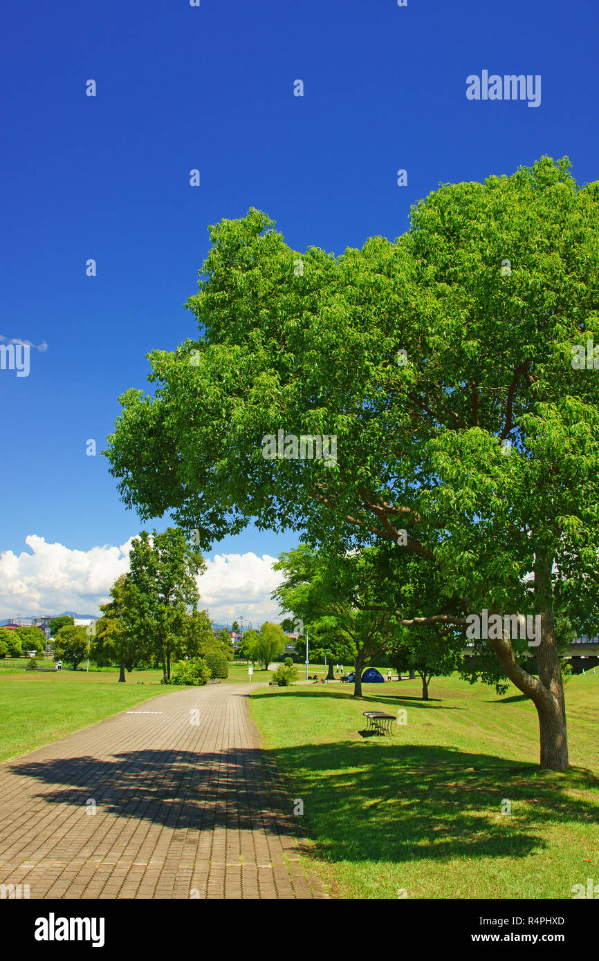 Suizenji Ezuko Park, Kumamoto Prefecture, Japan Stock Photo - Alamy