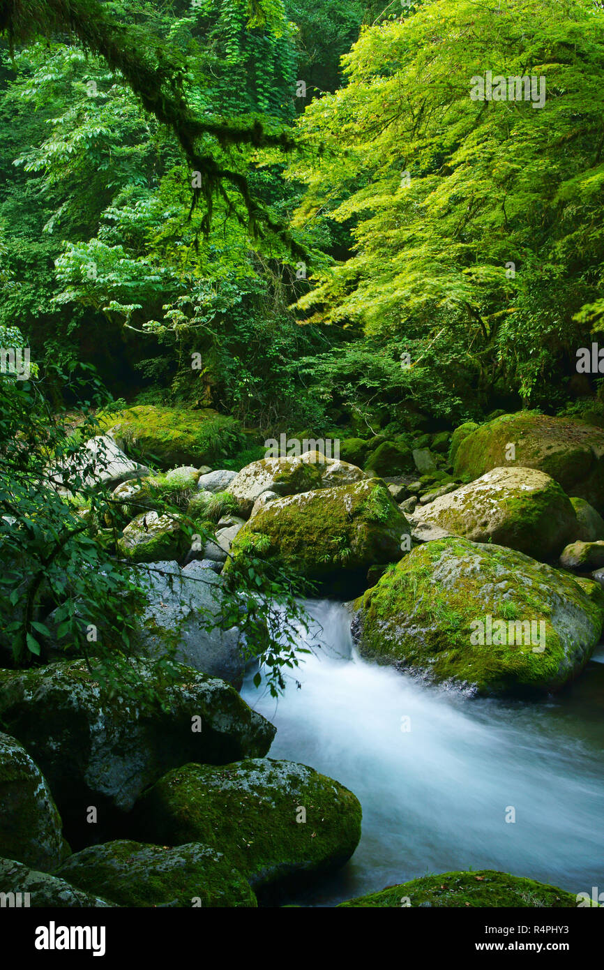 Kikuchi Gorge, Kumamoto Prefecture, Japan Stock Photo - Alamy