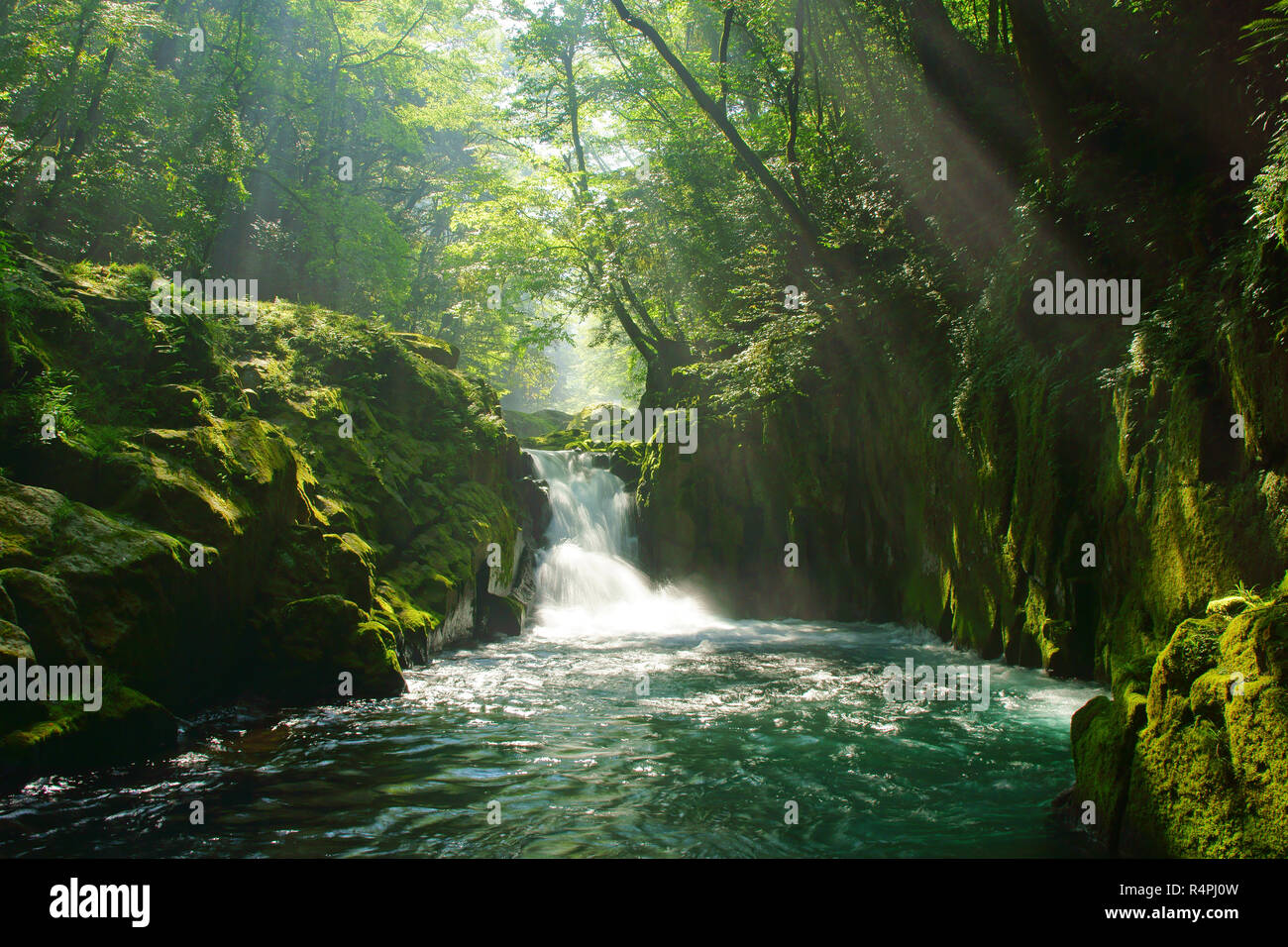 Kikuchi Gorge, Kumamoto Prefecture, Japan Stock Photo - Alamy
