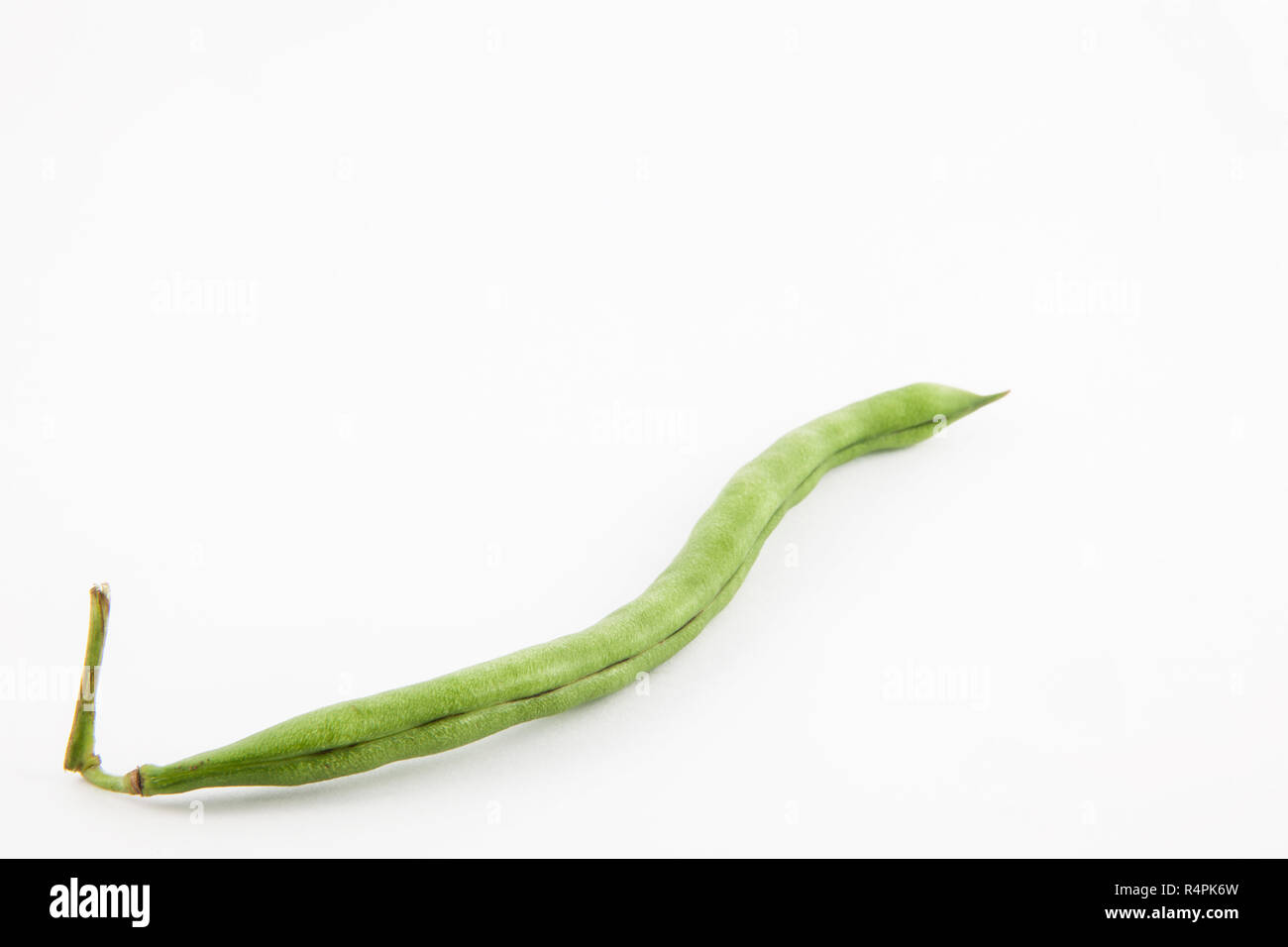 Green bean (Phaseolus vulgaris Stock Photo - Alamy