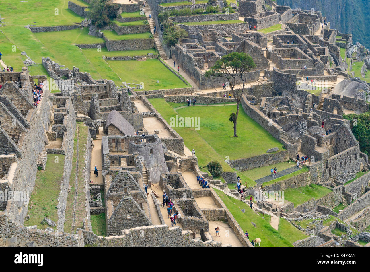 Machu Picchu in Peru Stock Photo - Alamy