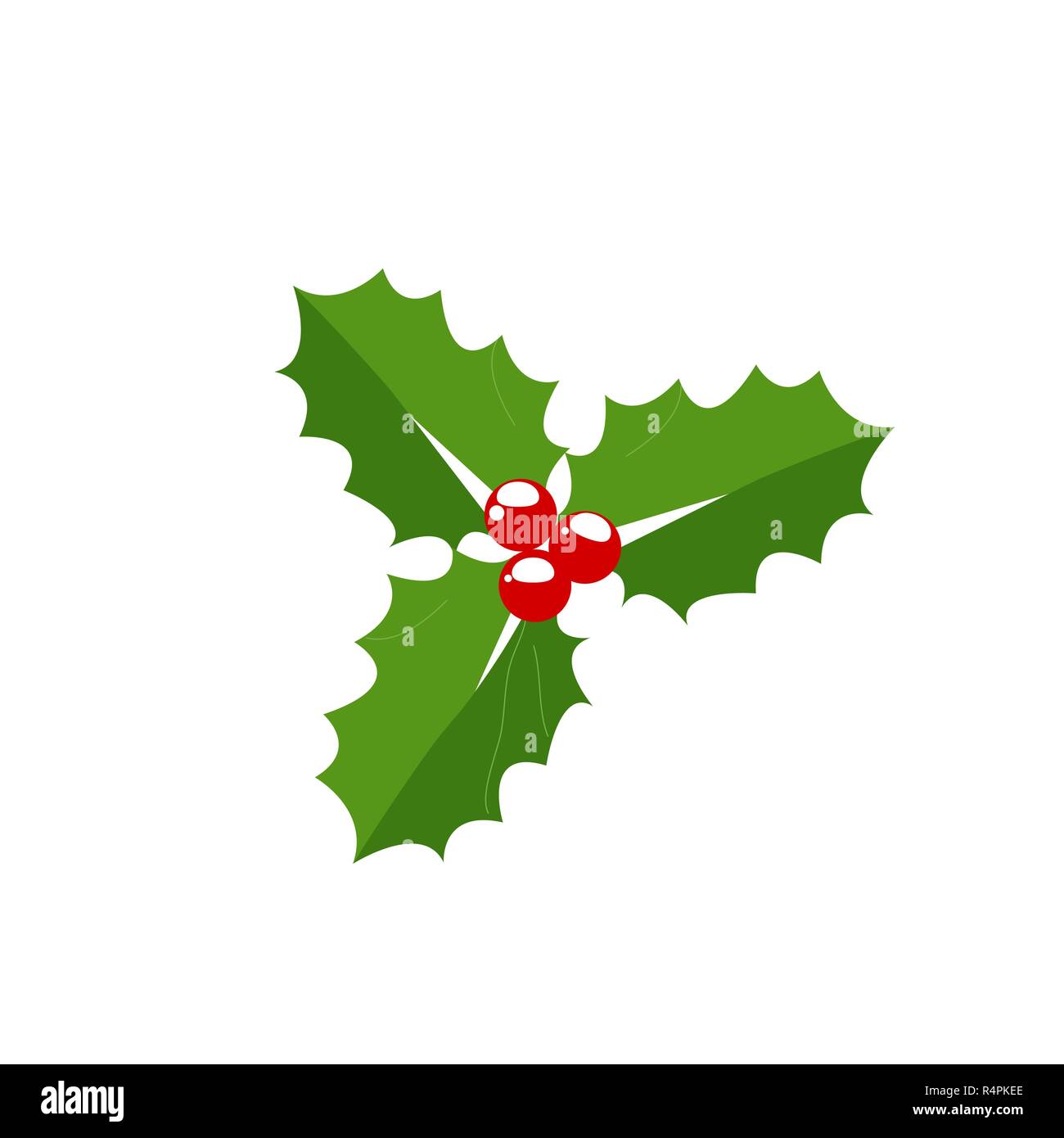 Vector Christmas holly with berries. Vector illustration Stock Vector ...