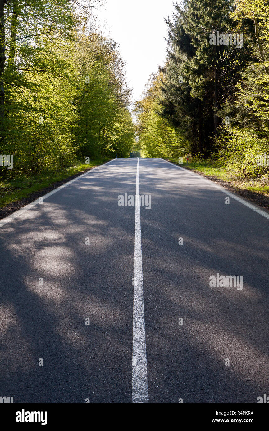 Country asphalt road with tree and sunset flare Stock Photo - Alamy