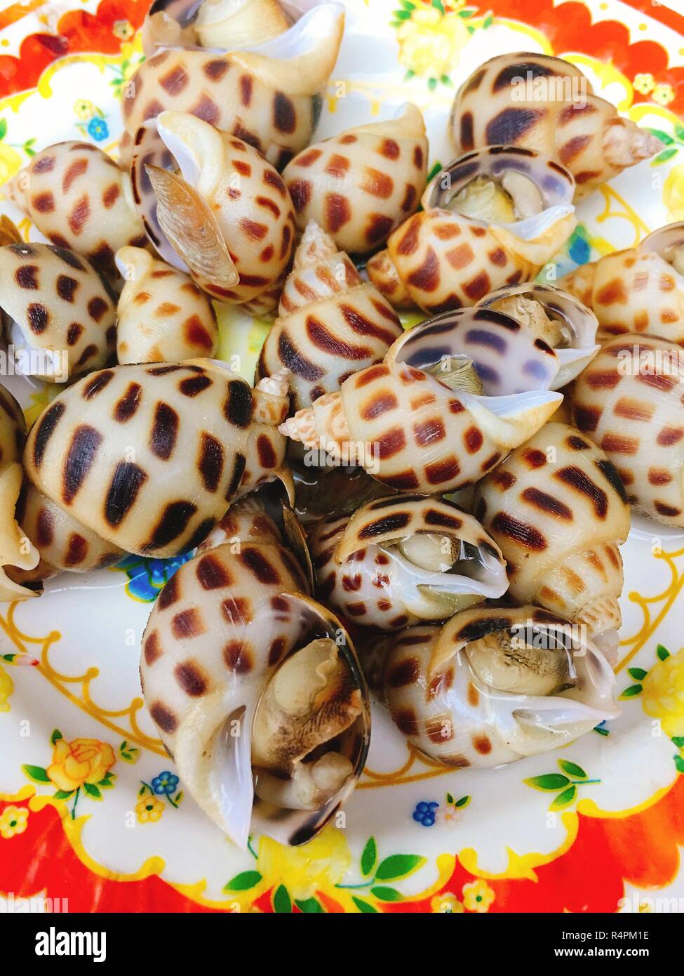 Steamed shells on dish for street food in Vietnam Stock Photo - Alamy