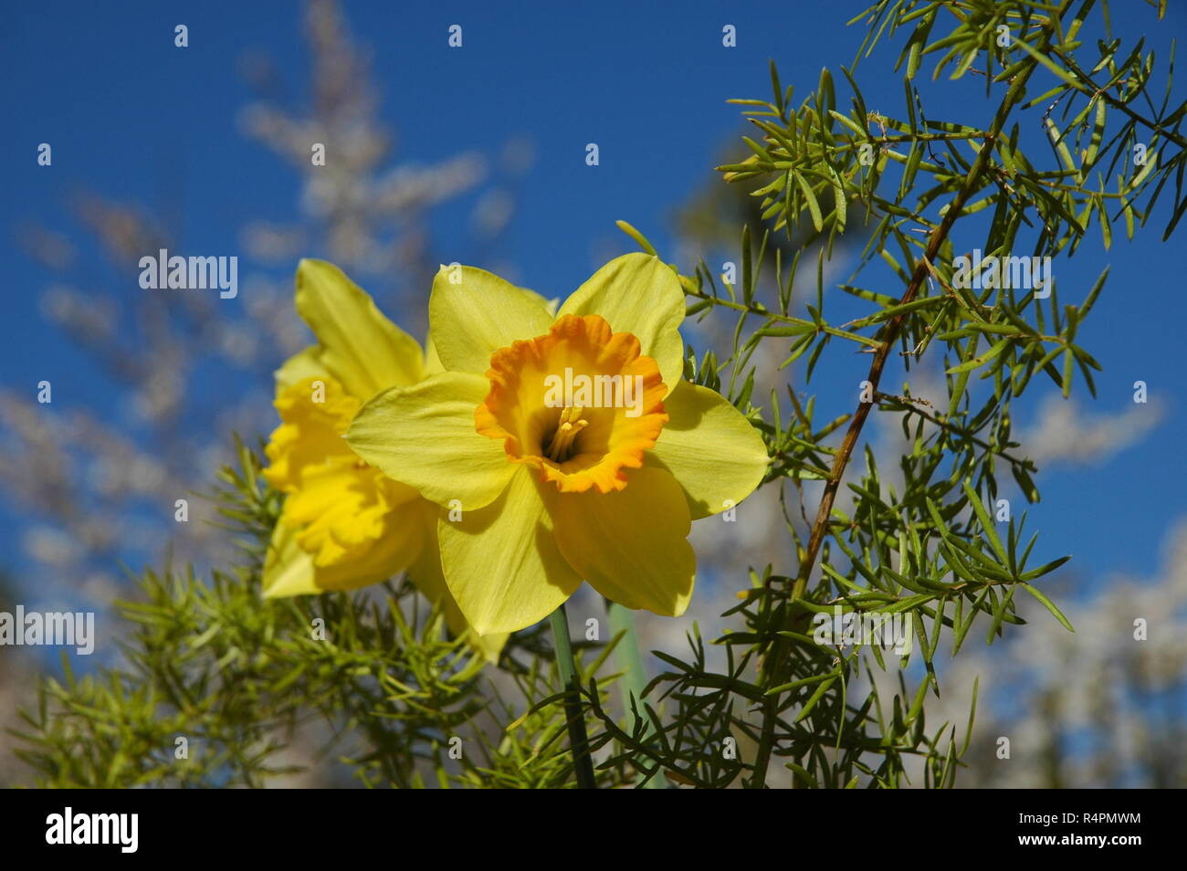 easter bell in spain Stock Photo - Alamy