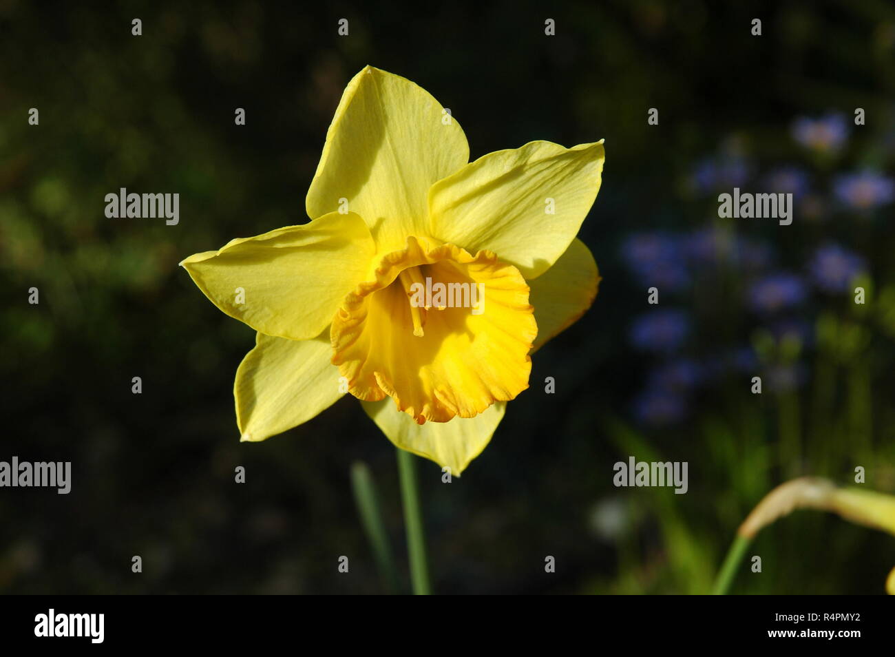 easter bells in spain Stock Photo - Alamy