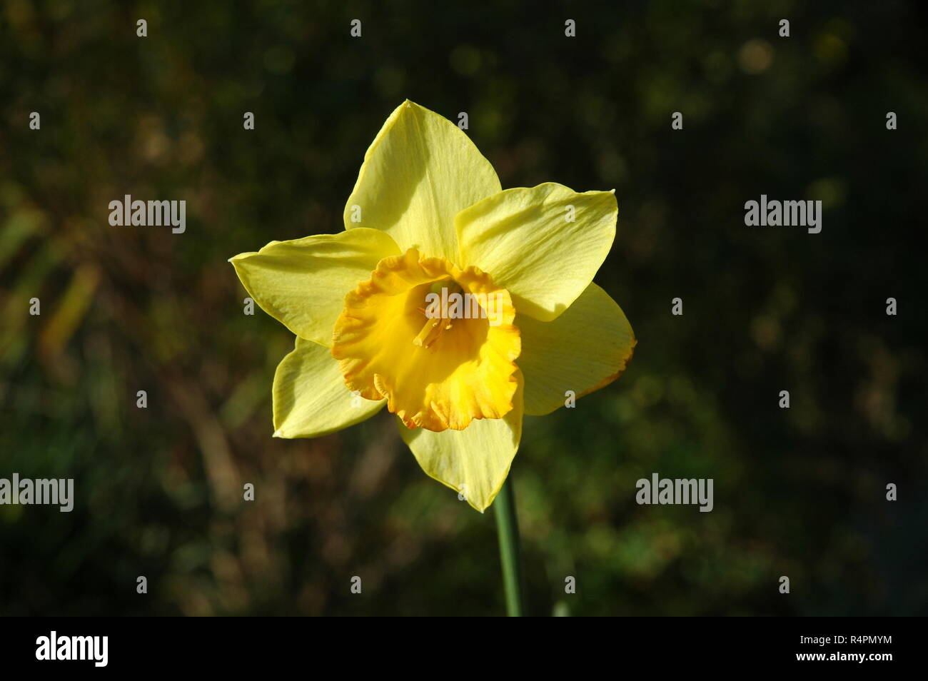 easter bells in spain Stock Photo - Alamy