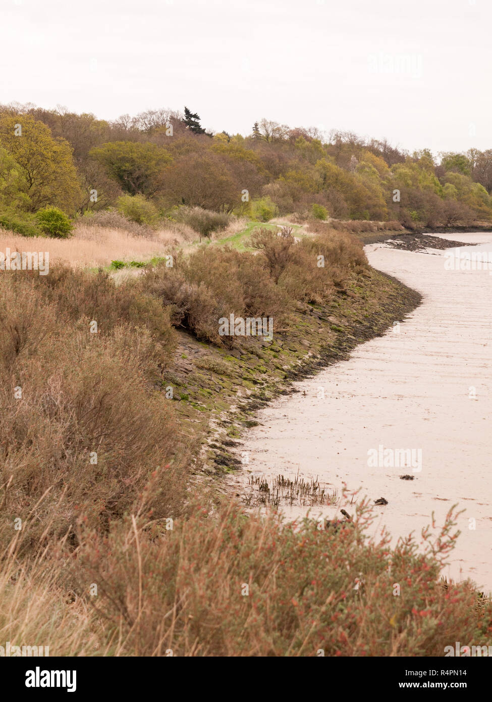 Sandline hi-res stock photography and images - Alamy