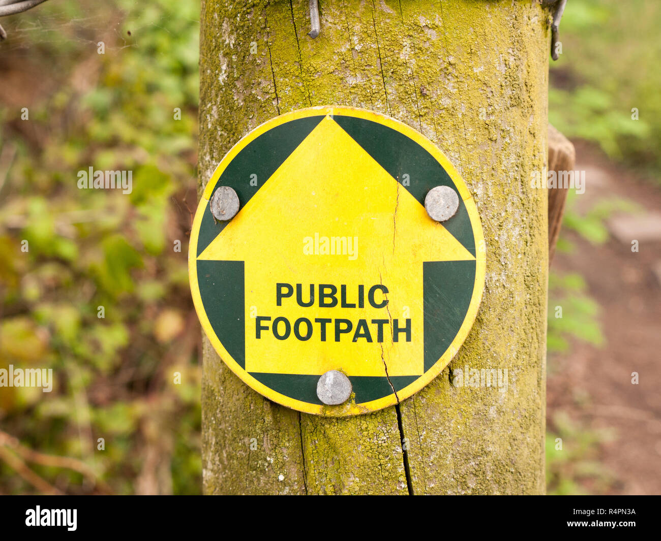 a public footpath sign in the forest leading the way on a trail Stock ...