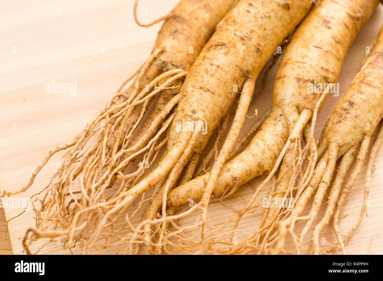 Fresh Ginseng over wood background Stock Photo - Alamy