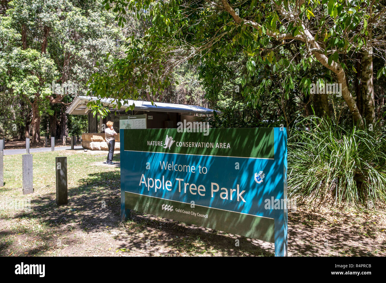 Apple tree park in Springbrook national park,Gold Coast hinterland ...
