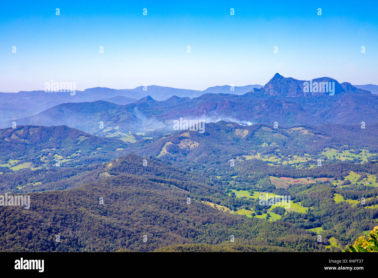Countryside and nature of Springbrook national park in the Gold coast ...
