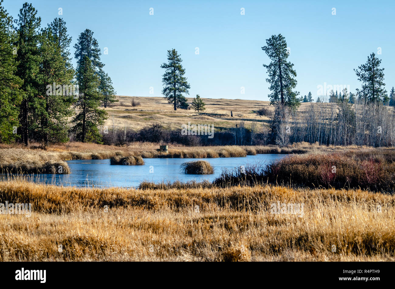 Scabrock hi-res stock photography and images - Alamy