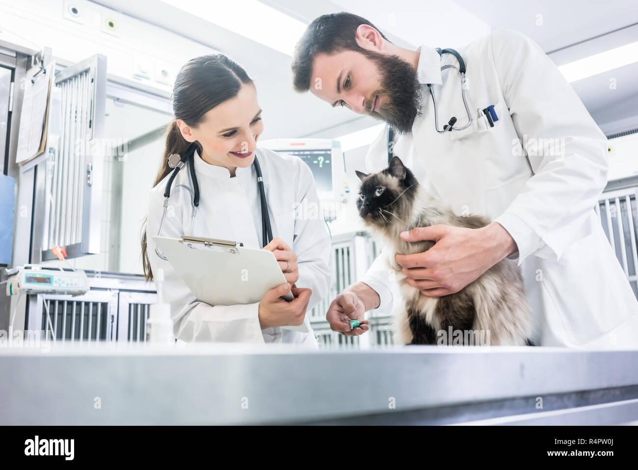 Cat on examination table of veterinarian clinic with two pet doctors ...