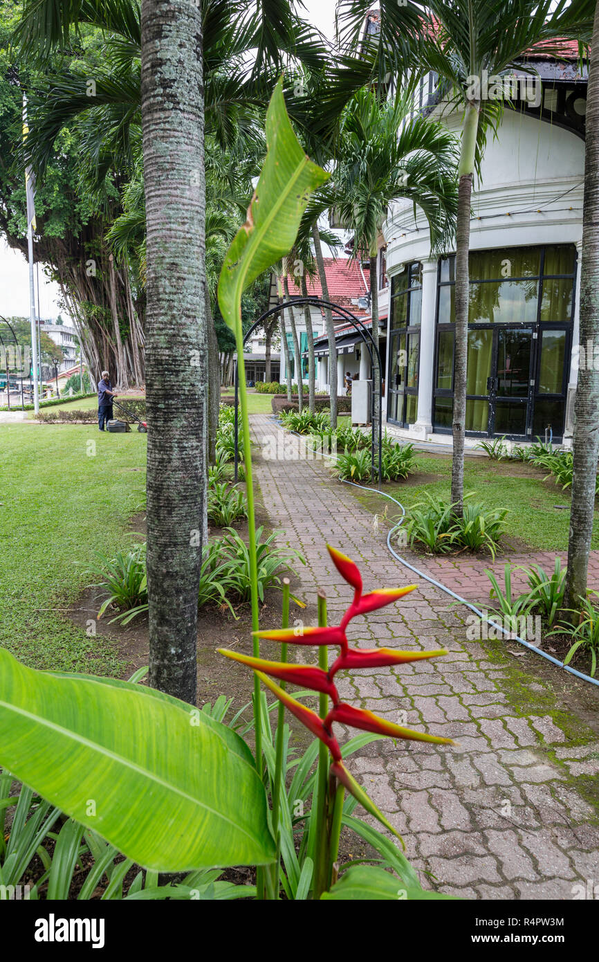 Royal Ipoh Club, Ipoh, Malaysia Stock Photo - Alamy