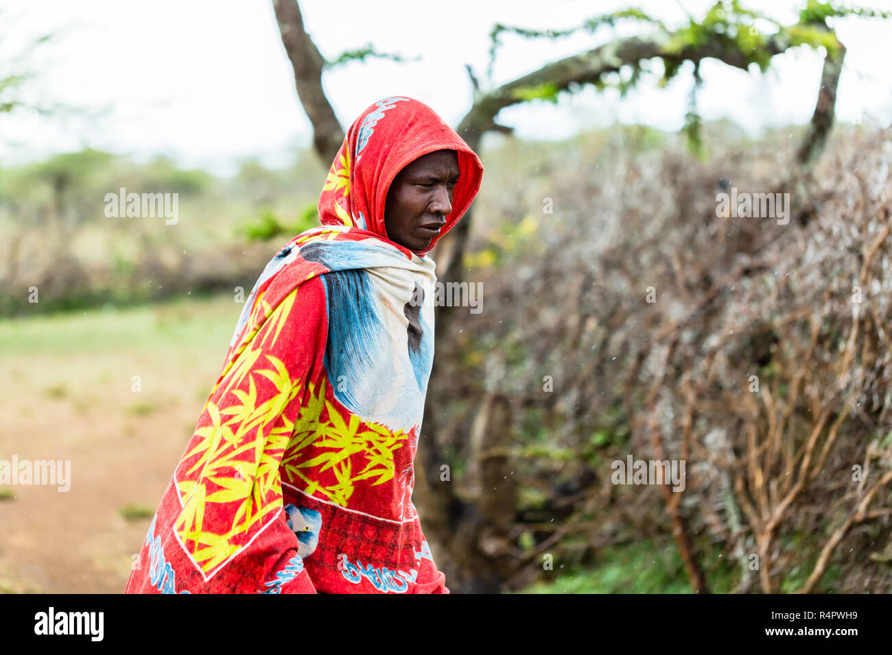 Massai man standing in hi-res stock photography and images - Alamy
