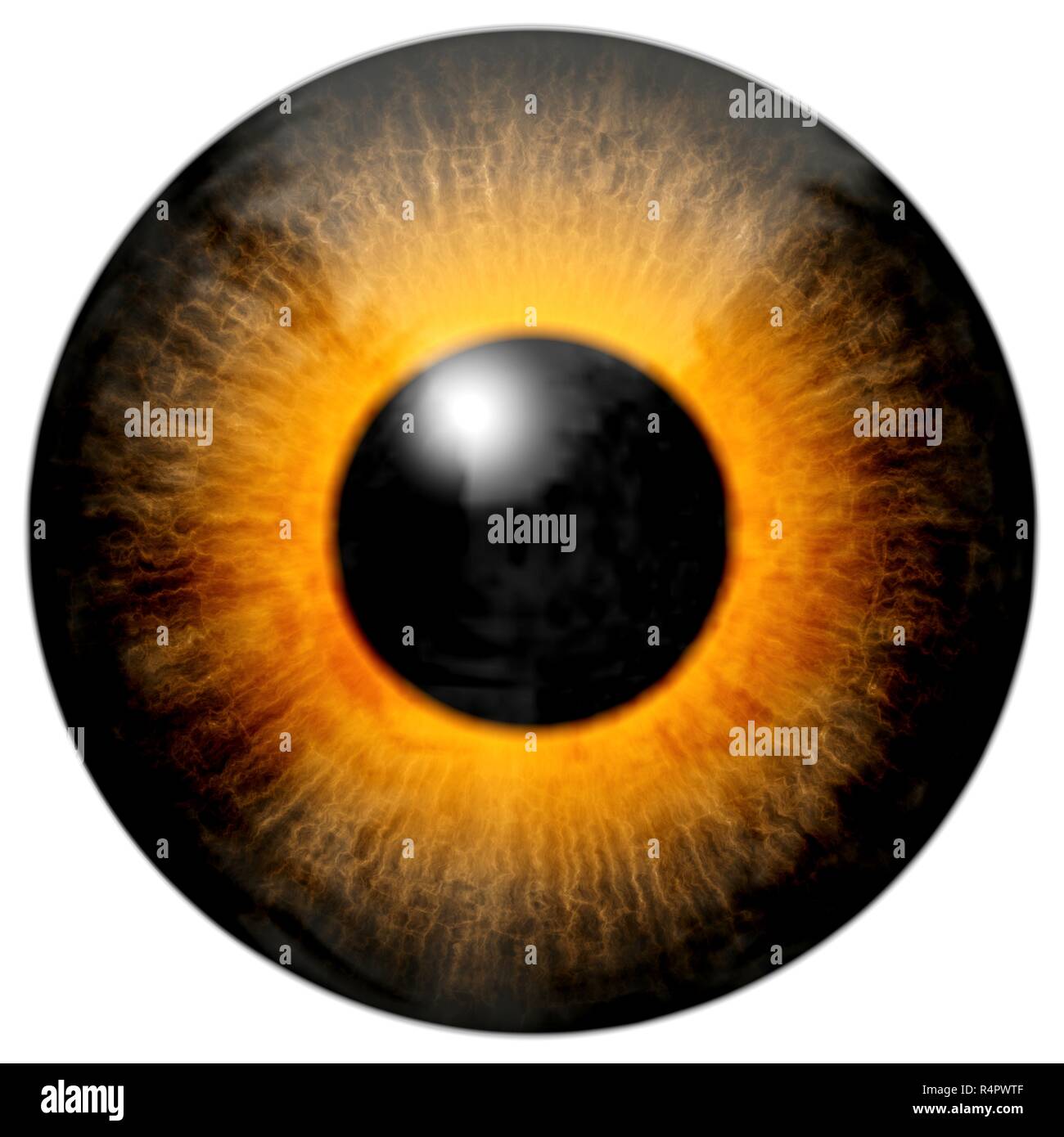 Deep orange texture Cut Out Stock Images & Pictures - Alamy