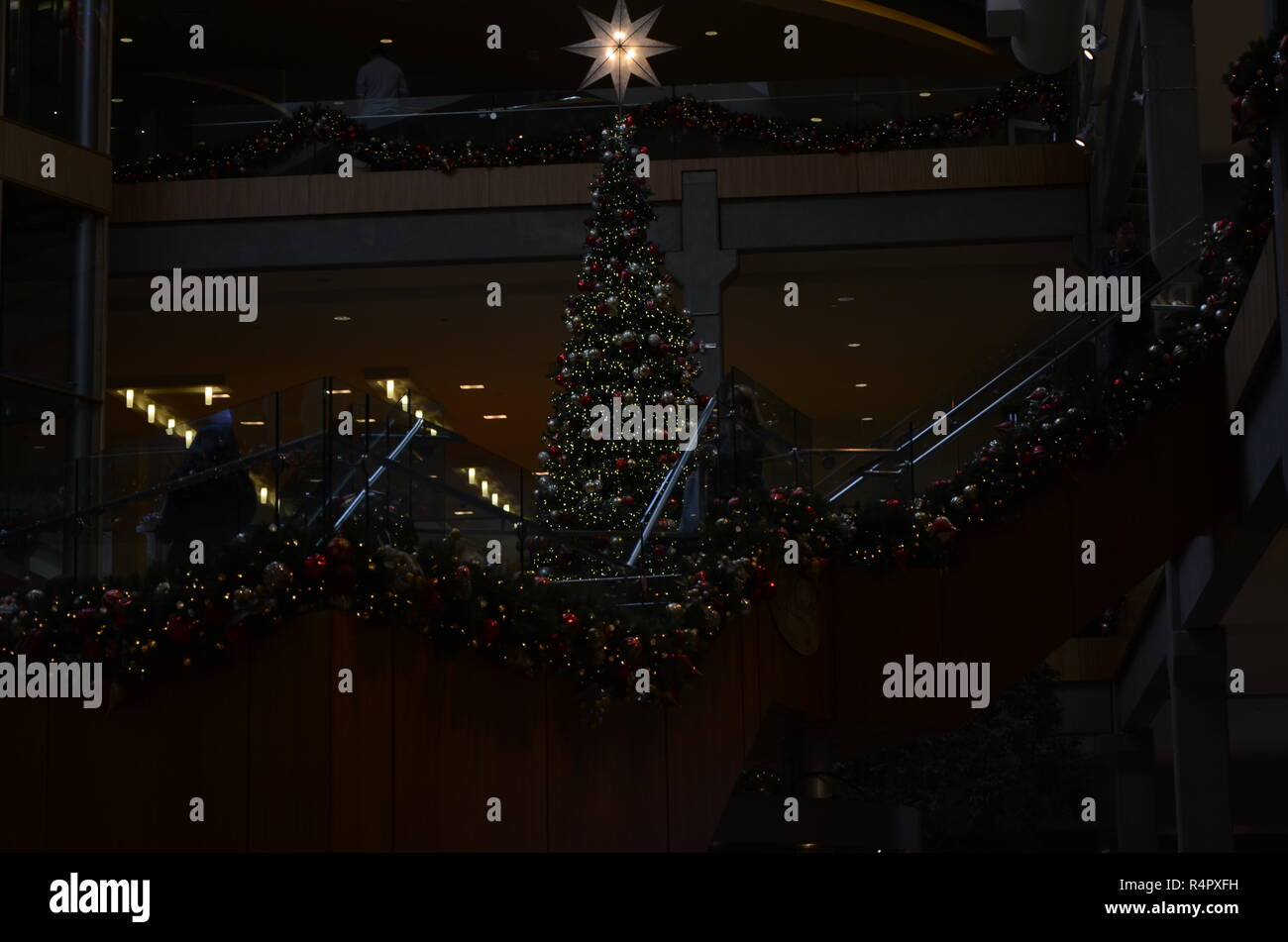 Bellevue mall hi-res stock photography and images - Alamy