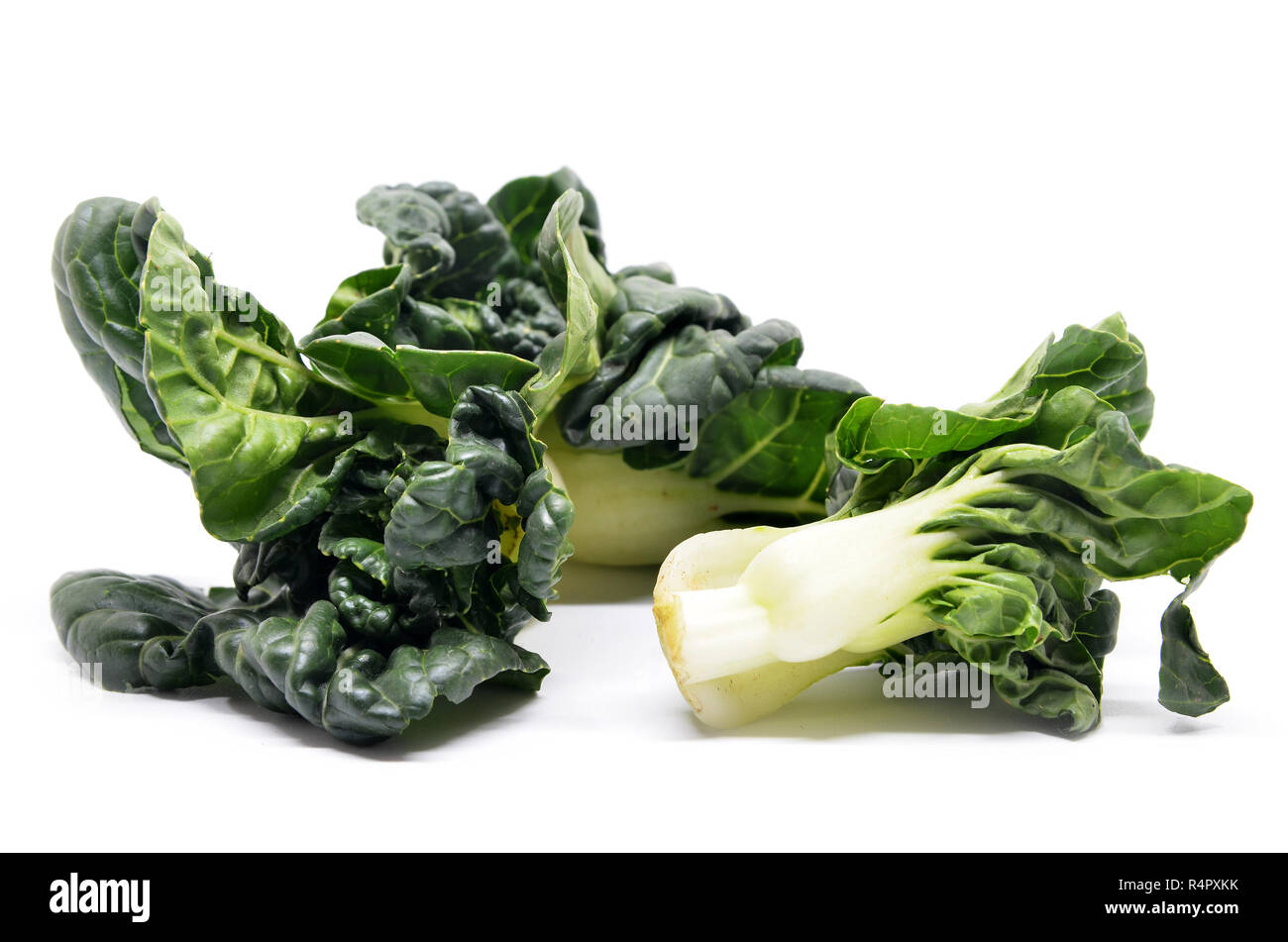 Milk cabbage bok choy Stock Photo - Alamy