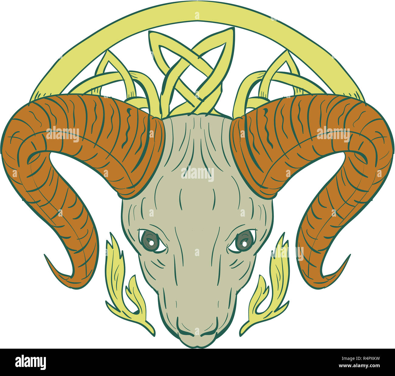 Ram Head Celtic Knot Stock Photo - Alamy