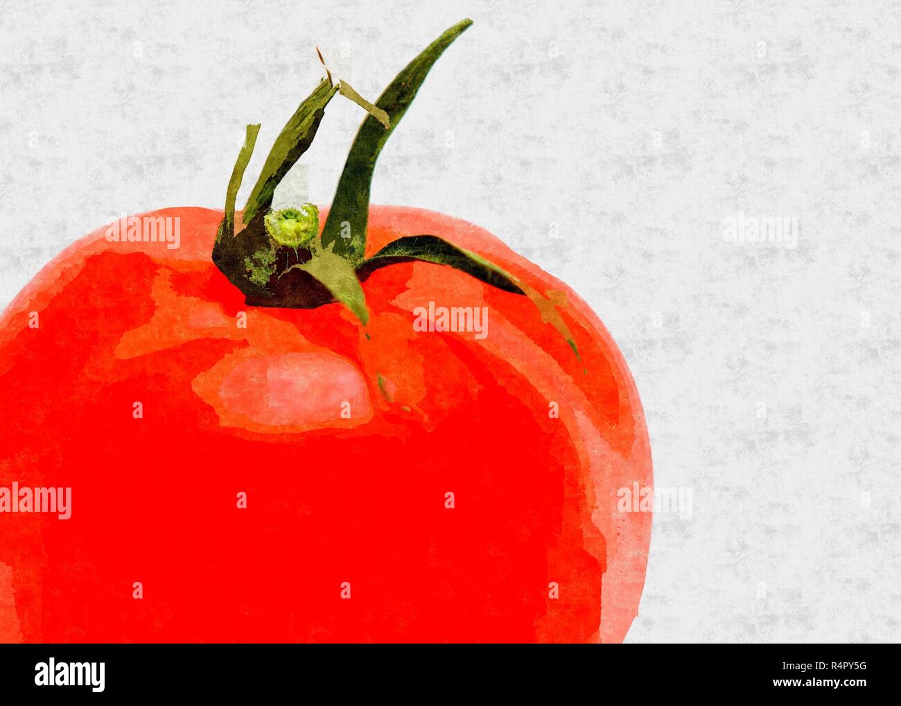 Tomato oil painting Stock Photo - Alamy