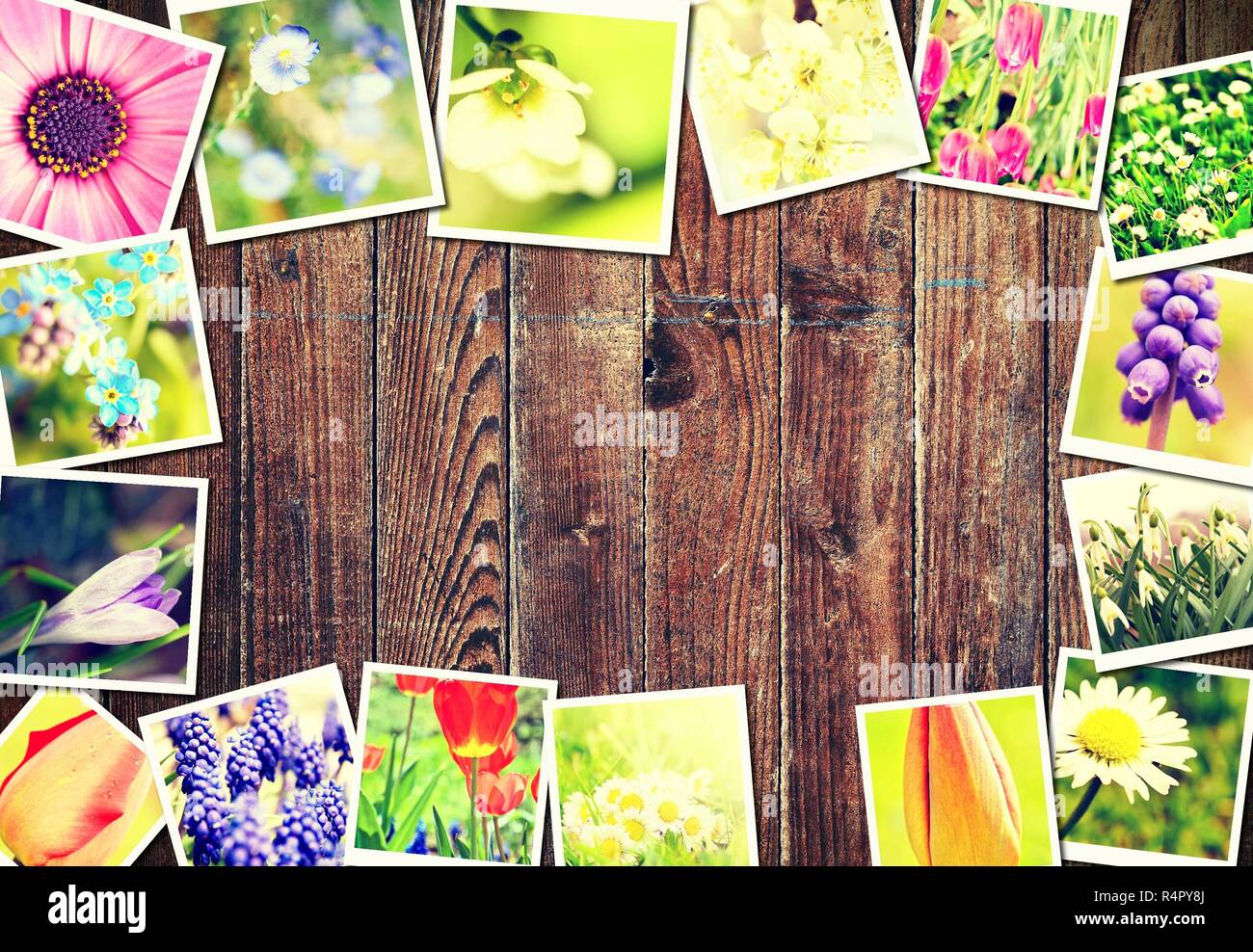 Printed picture frames hi-res stock photography and images - Alamy