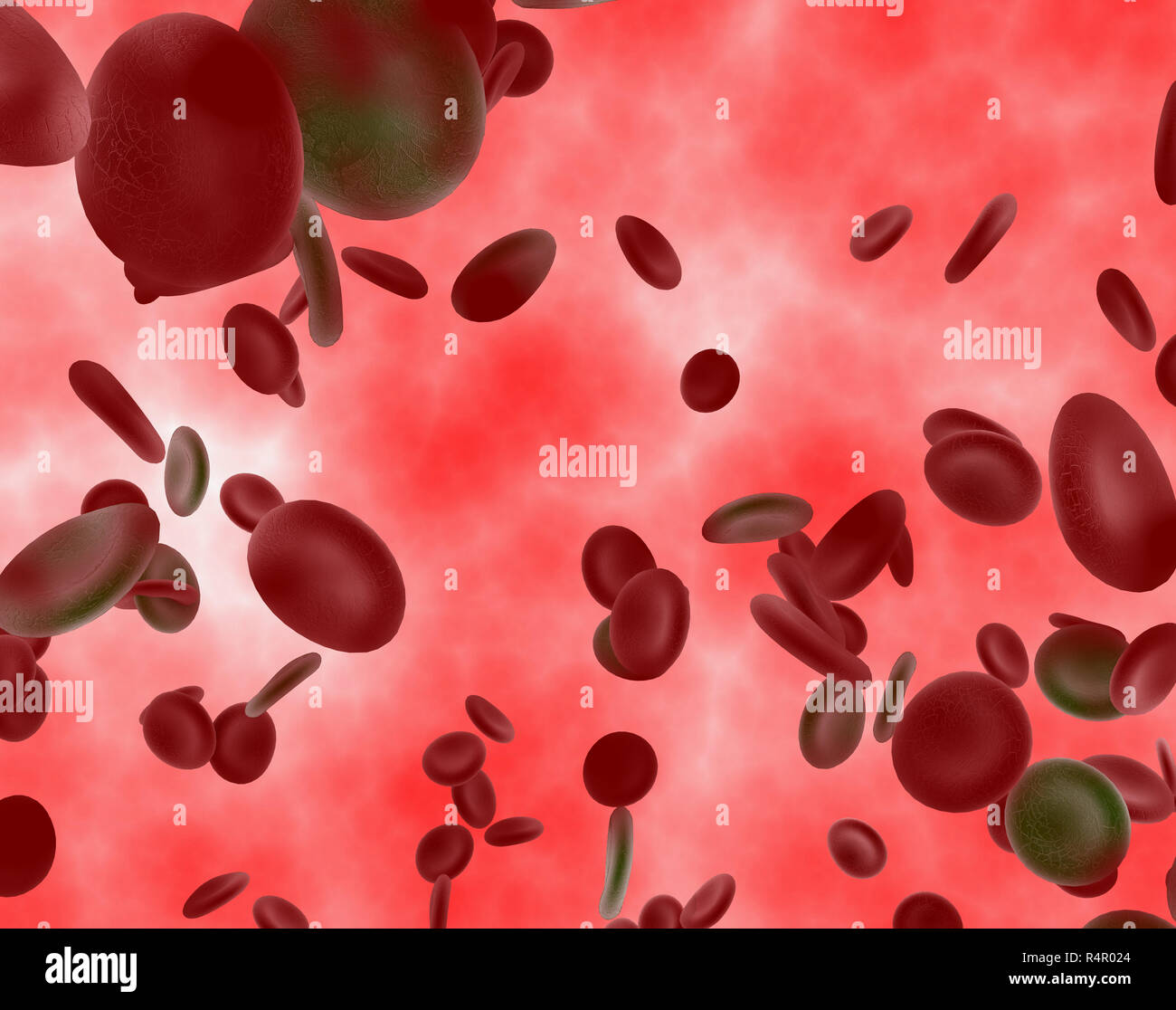red blood cells in vein Stock Photo - Alamy