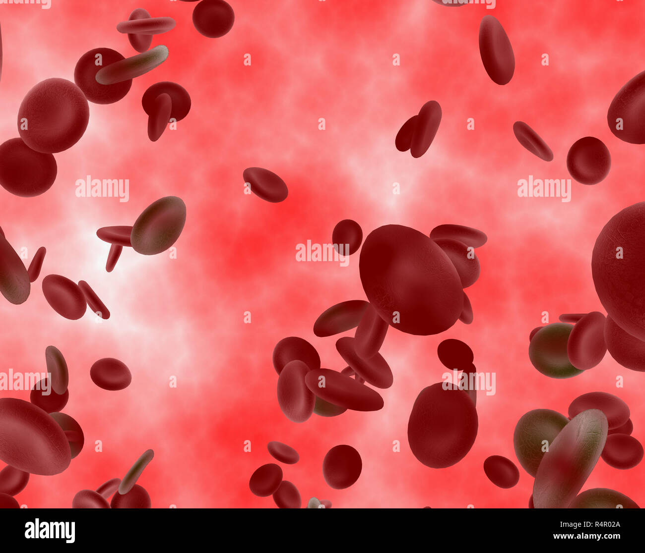 red blood cells in vein Stock Photo - Alamy