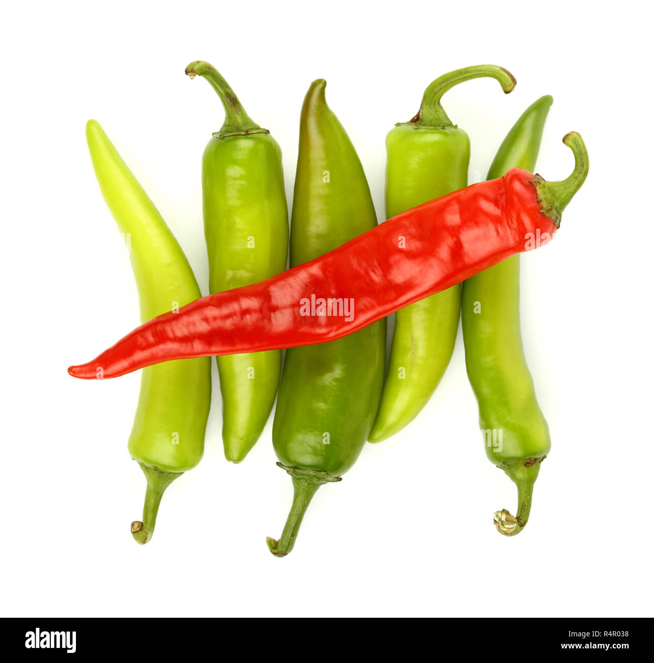 See Thru Top Cut Out Stock Images And Pictures Alamy