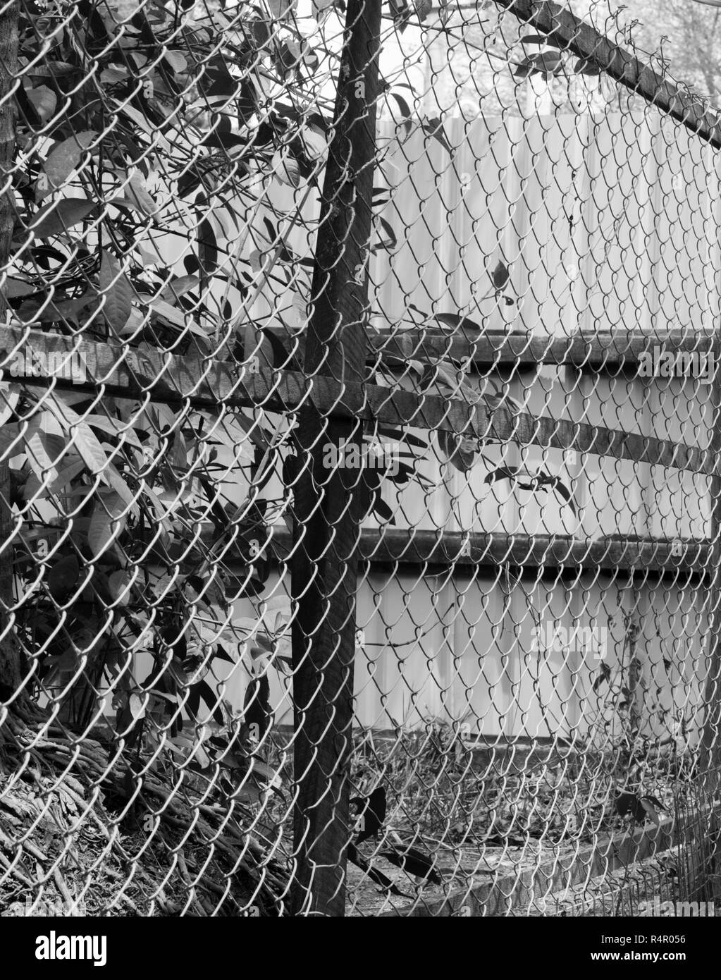 Chain link netting Black and White Stock Photos & Images - Alamy