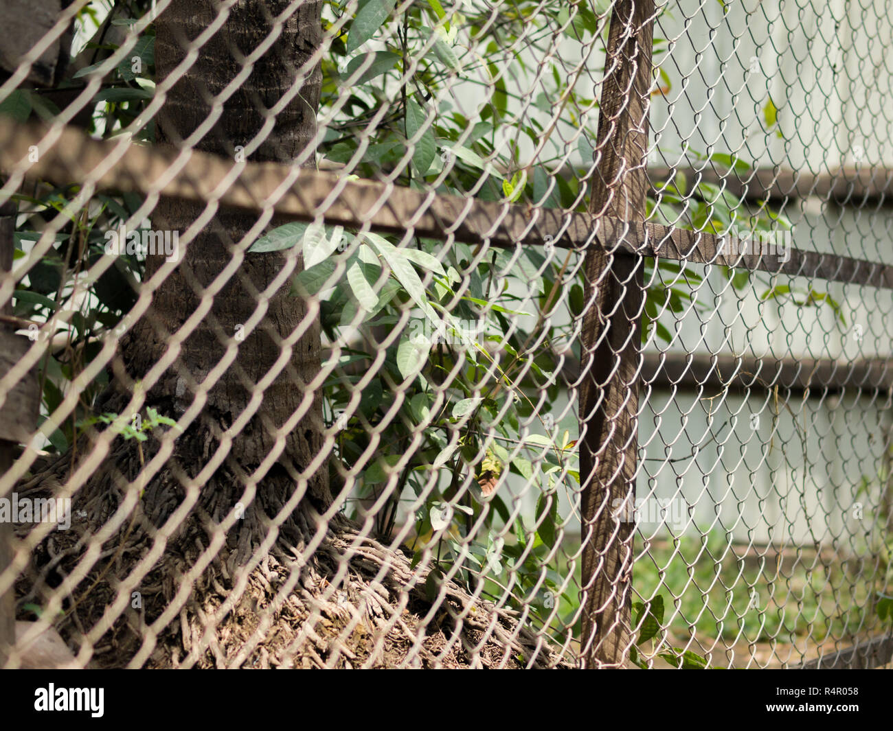 Fence diamond grid fence hi-res stock photography and images - Alamy