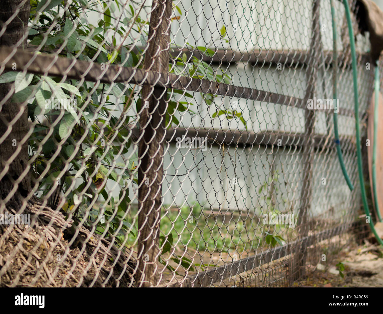 COLOR PHOTO OF CHAIN-LINK FENCE Stock Photo - Alamy