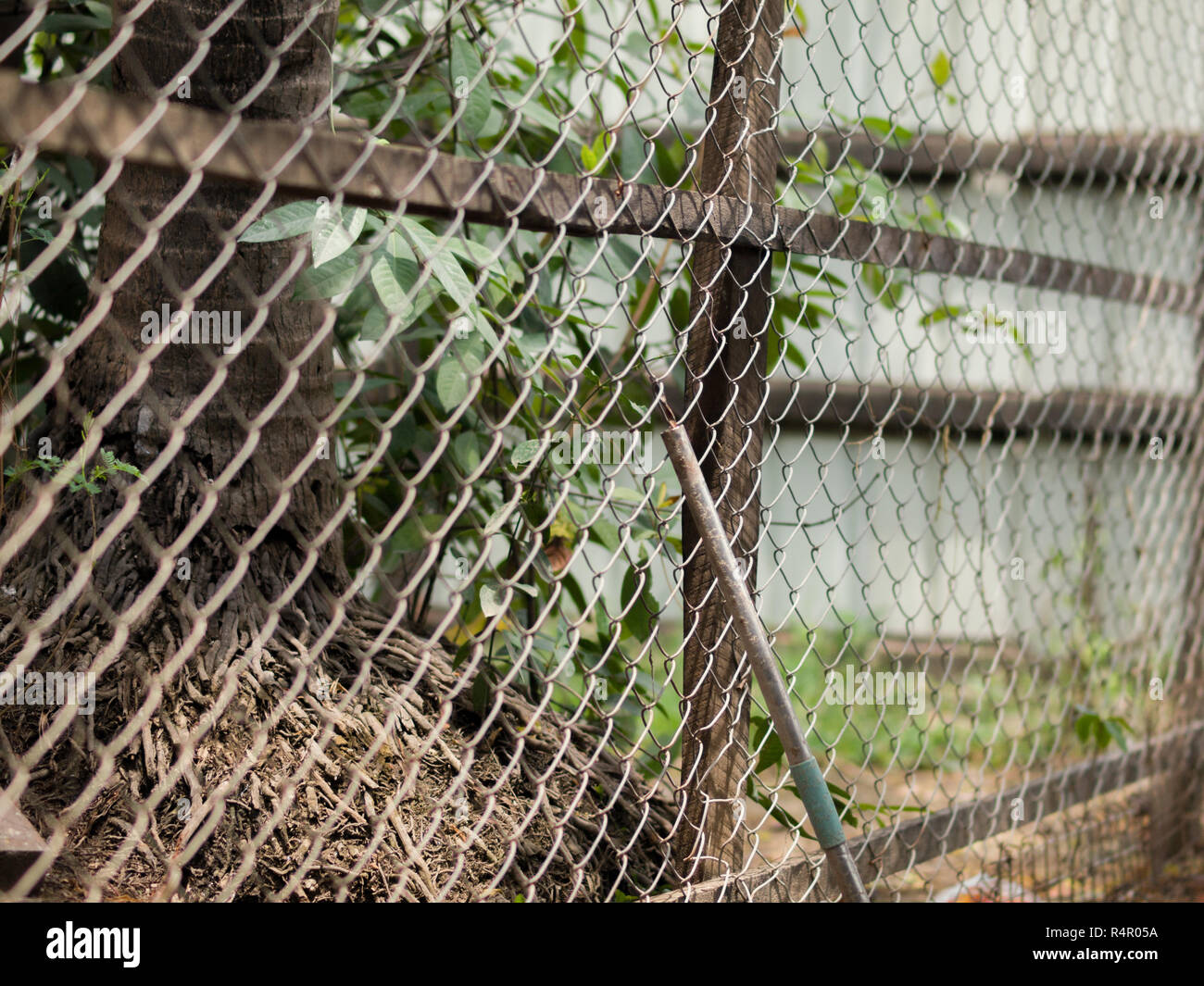 COLOR PHOTO OF CHAIN-LINK FENCE Stock Photo - Alamy