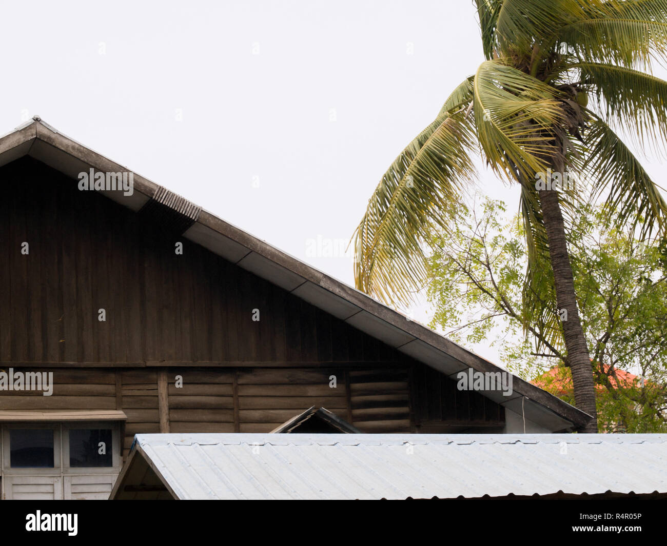 COCONUT TREE AND TOP OF HOUSE IN WINDY WEATHER Stock Photo - Alamy