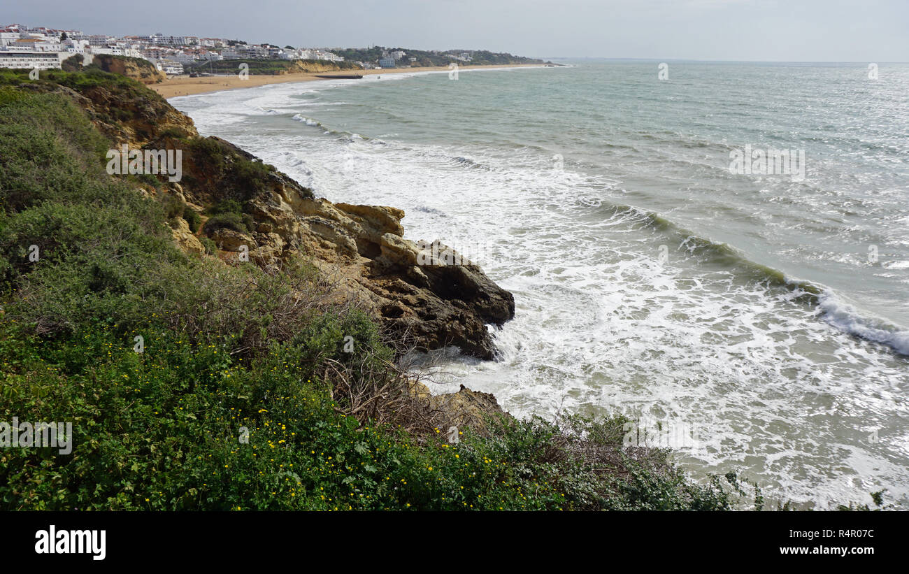 Penecho hi-res stock photography and images - Alamy