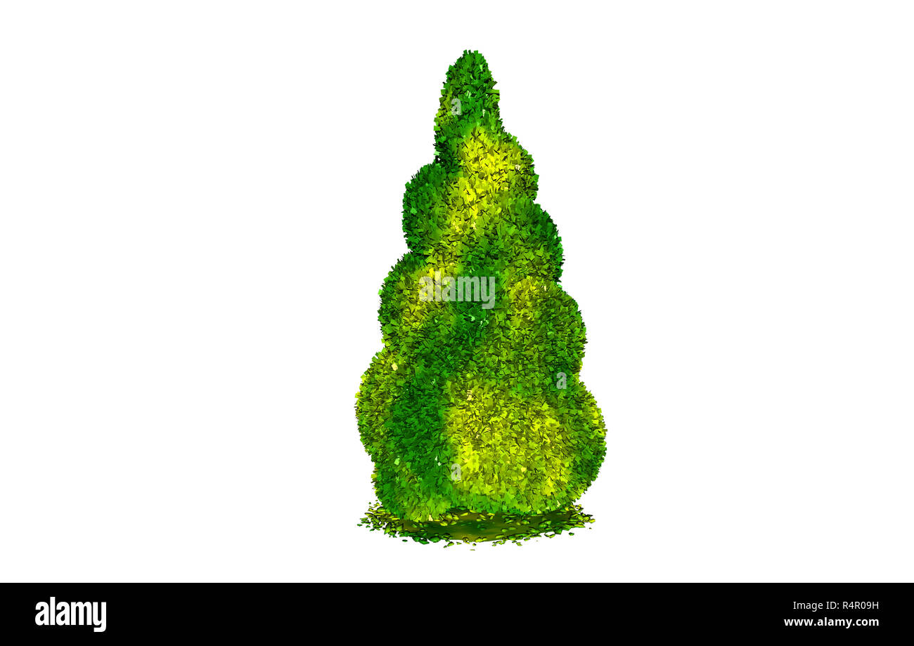 Buxbaum hi-res stock photography and images - Alamy