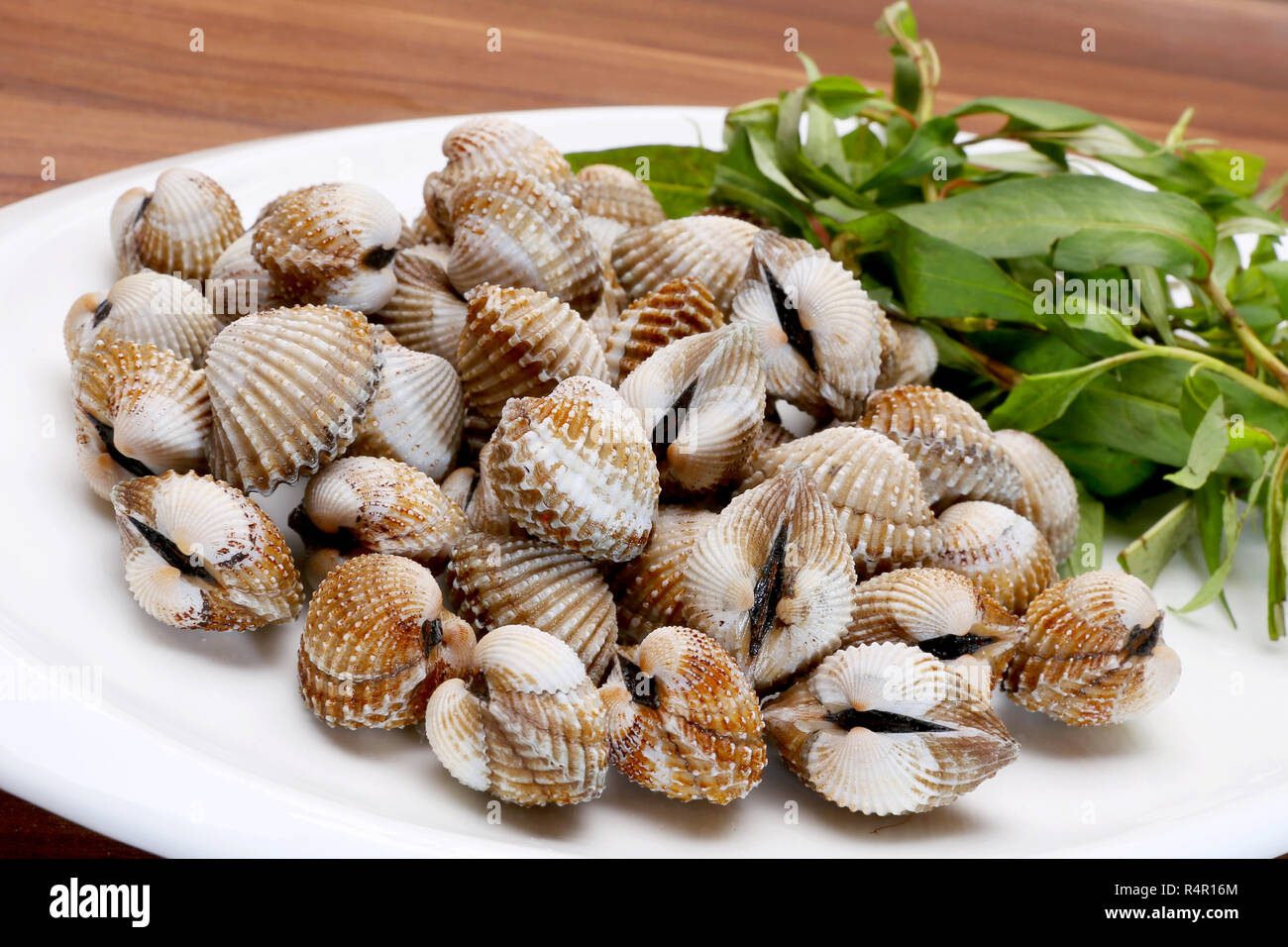 Steamed blood cockles with laksa leaves on white platter Stock Photo ...