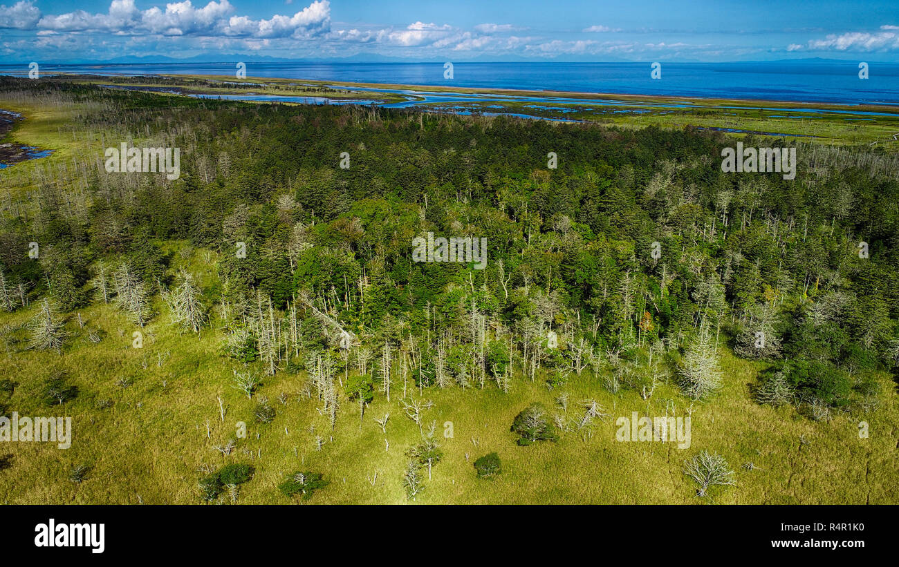 Aerial Photography of Marshland Stock Photo - Alamy