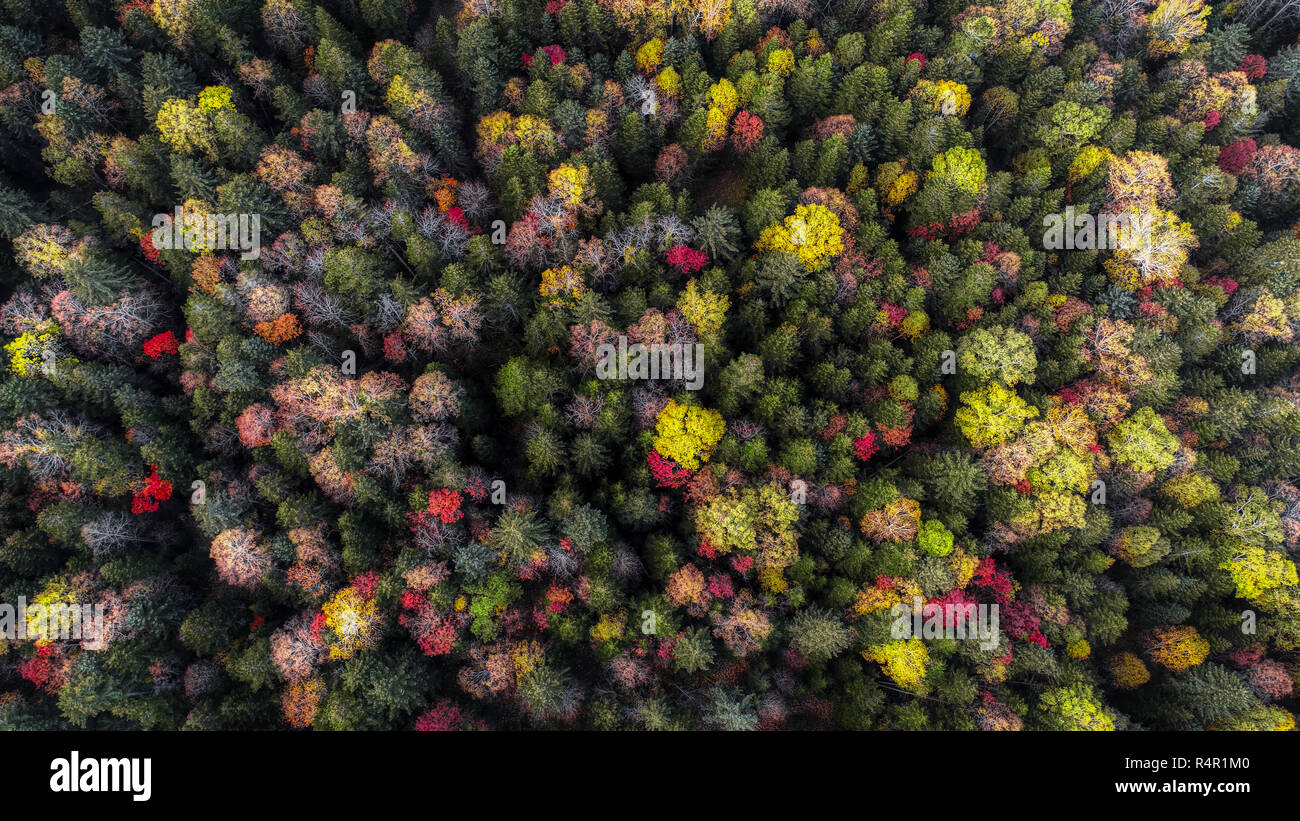 Aerial Photography of Marshland Stock Photo - Alamy