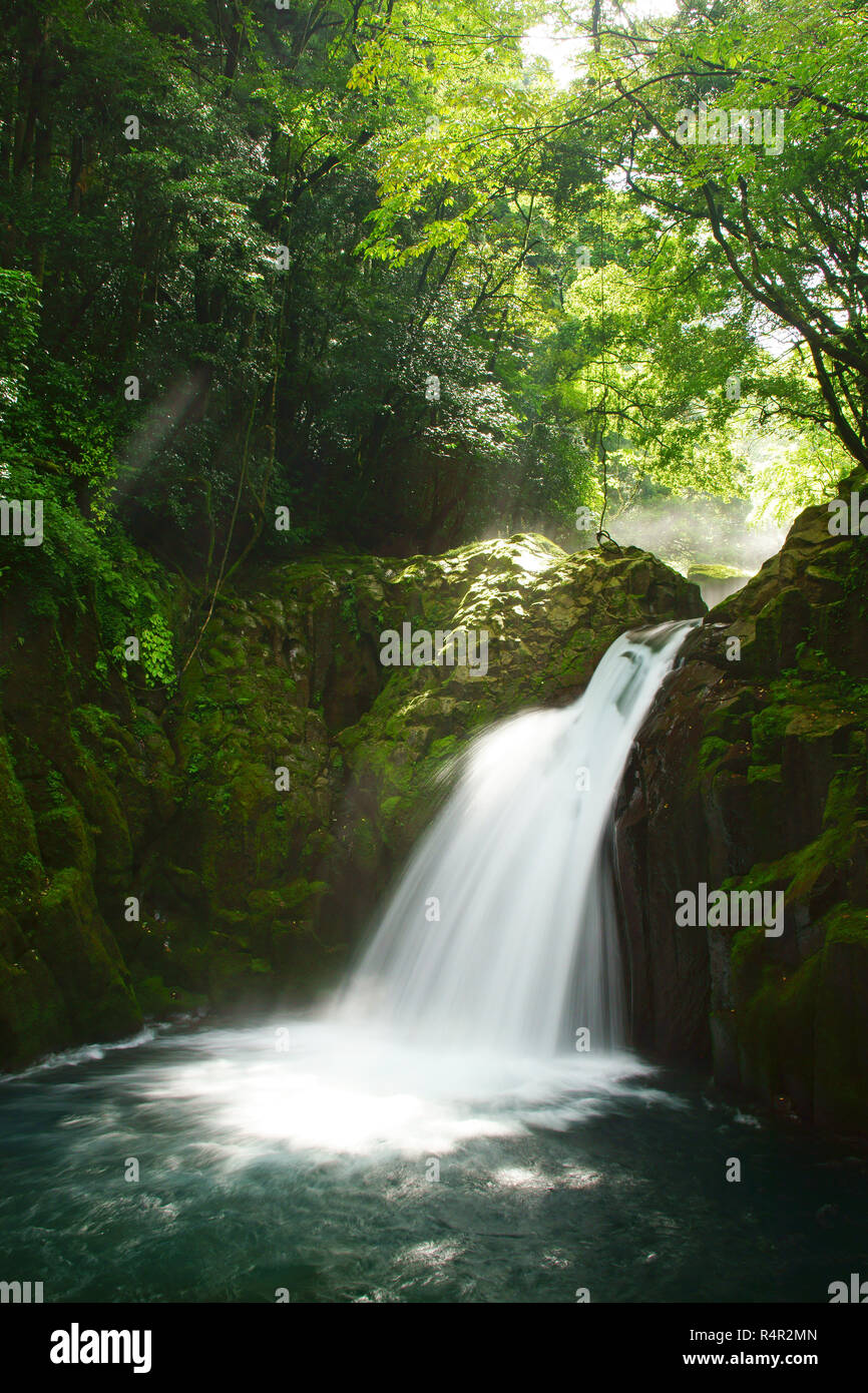 Kikuchi Gorge, Kumamoto Prefecture, Japan Stock Photo - Alamy