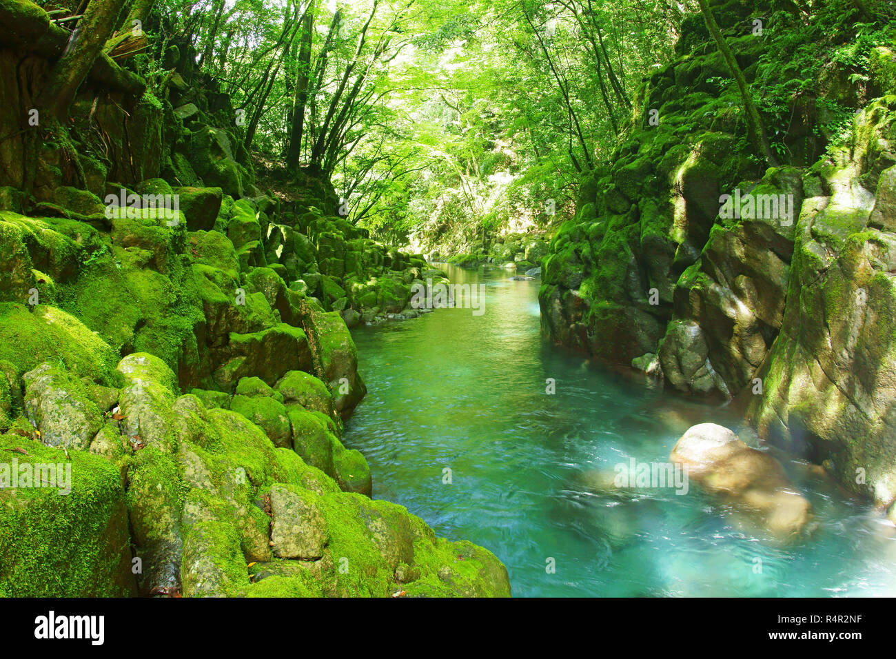Kikuchi Gorge, Kumamoto Prefecture, Japan Stock Photo - Alamy