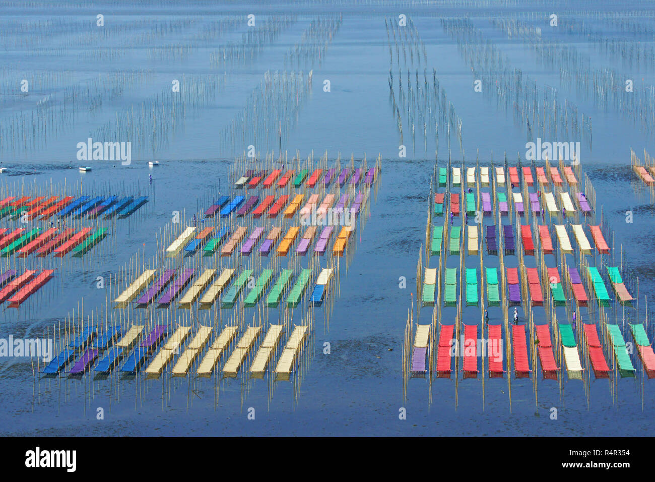 Sow Seeding of Seaweed Farming Stock Photo - Alamy