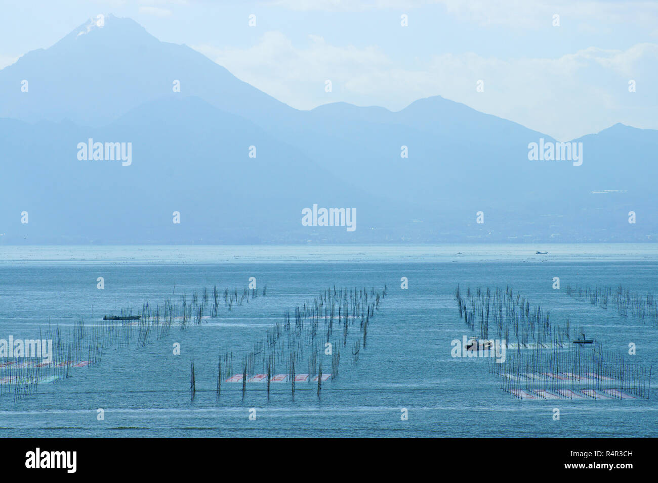 Net for Seaweed in Shioya Fishing Port, Kumamoto Prefecture, Japan ...