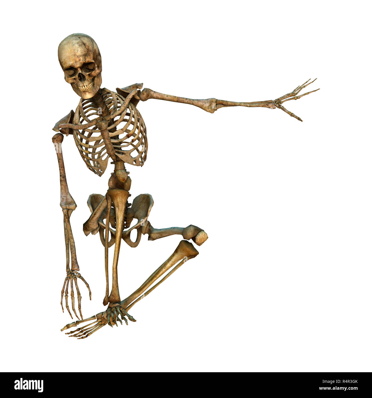 3D Rendering Human Skeleton on White Stock Photo - Alamy