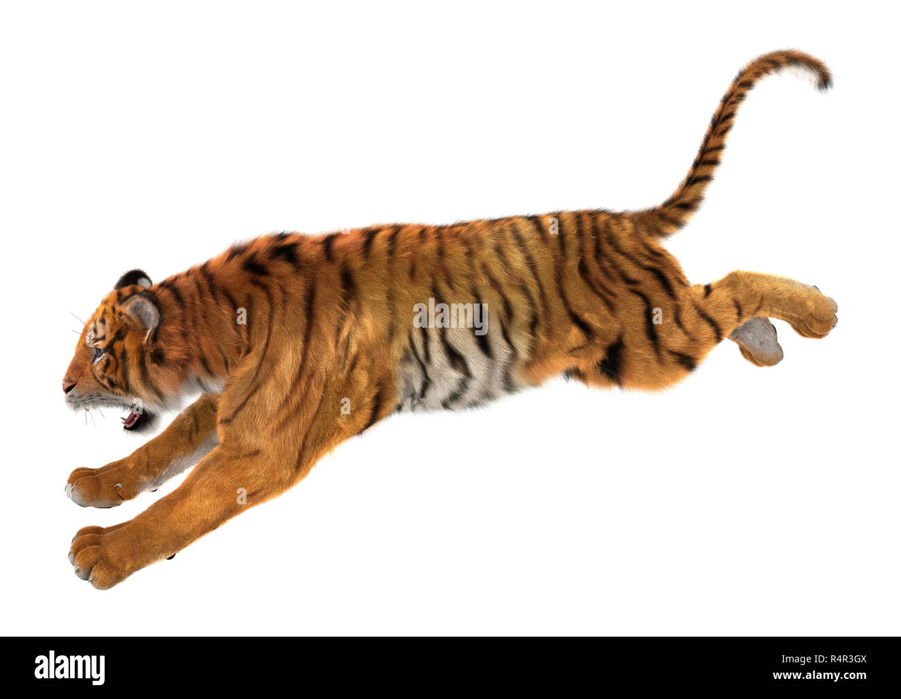 3D Rendering Big Cat Tiger on White Stock Photo - Alamy