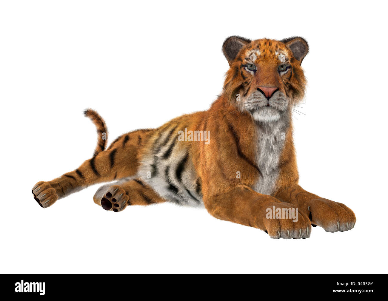 3D Rendering Big Cat Tiger on White Stock Photo - Alamy