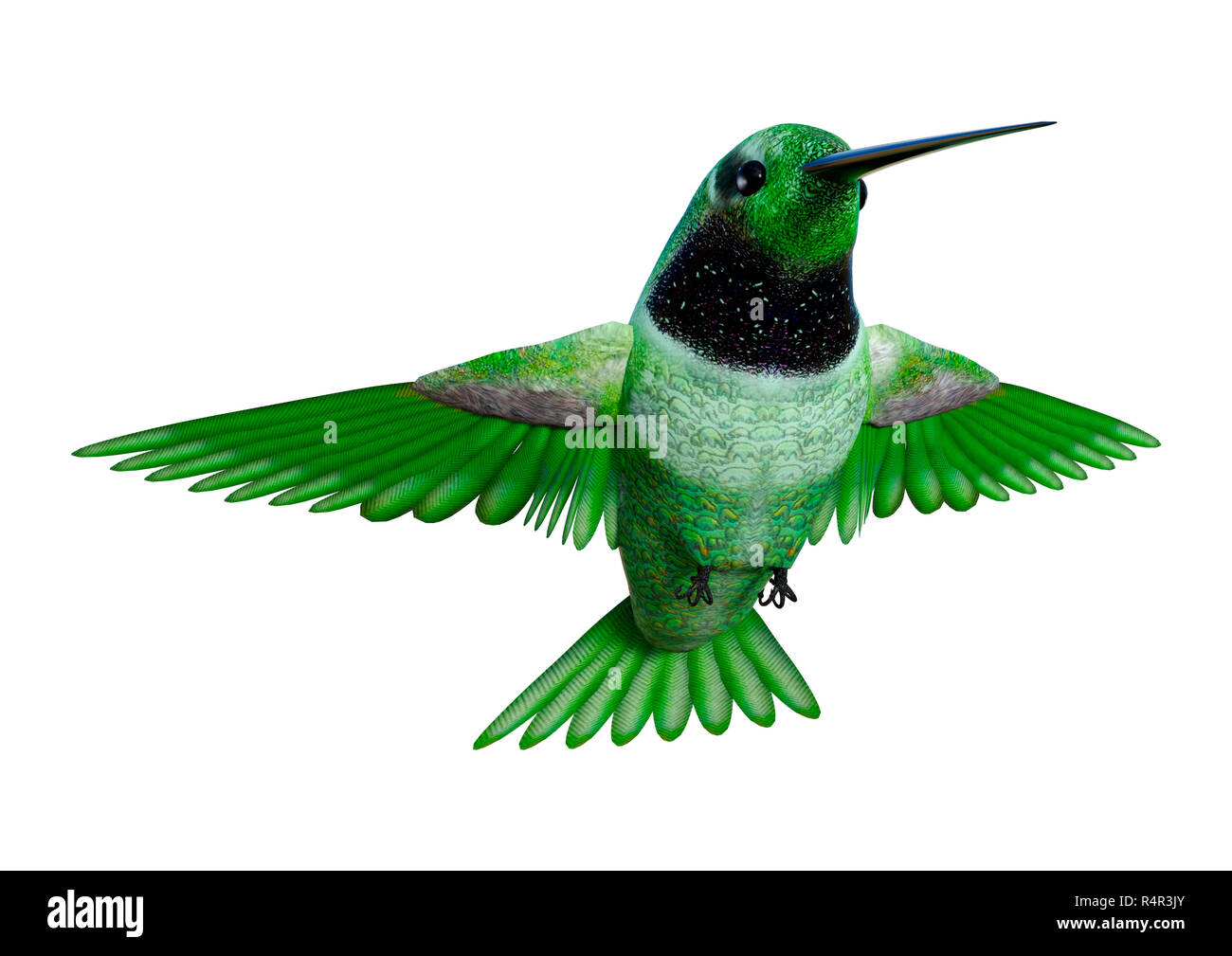 3d hummingbird hi-res stock photography and images - Alamy