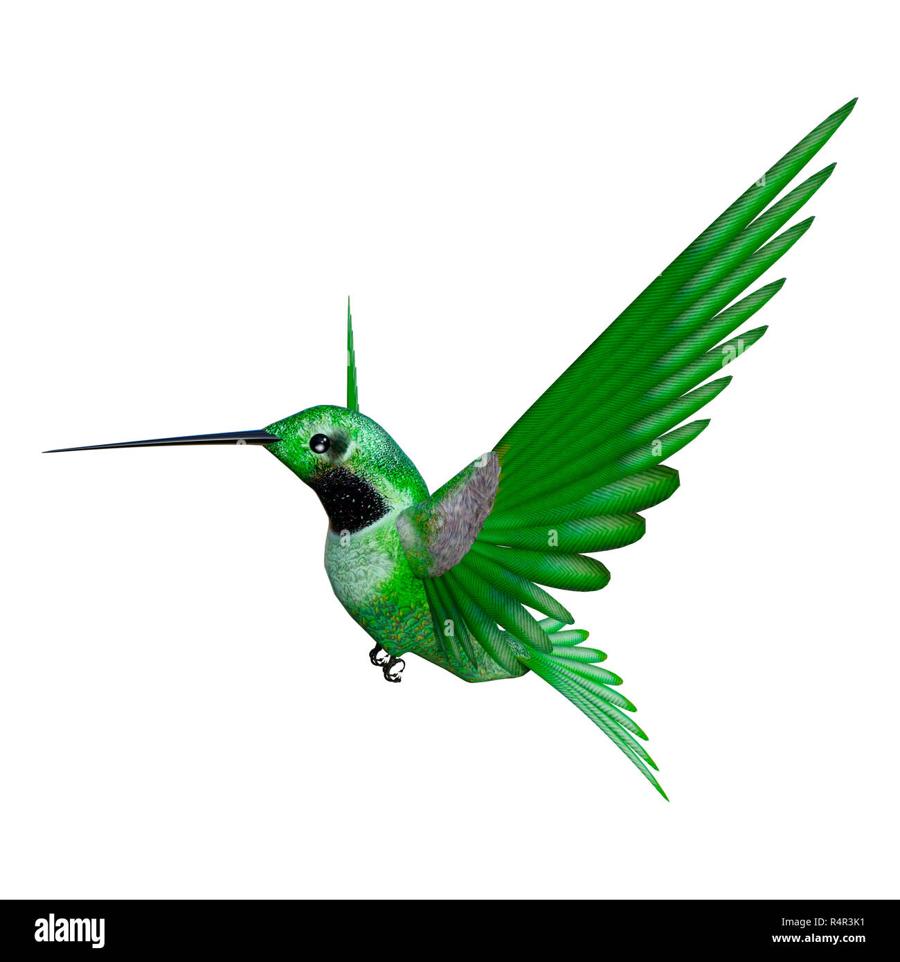 3D Rendering Hummingbird on White Stock Photo - Alamy
