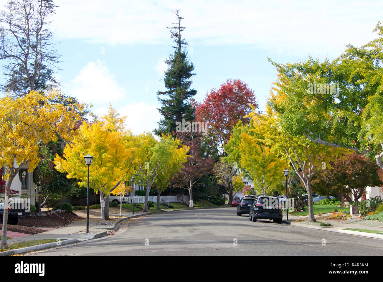 Neighborhood with trees hi-res stock photography and images - Alamy