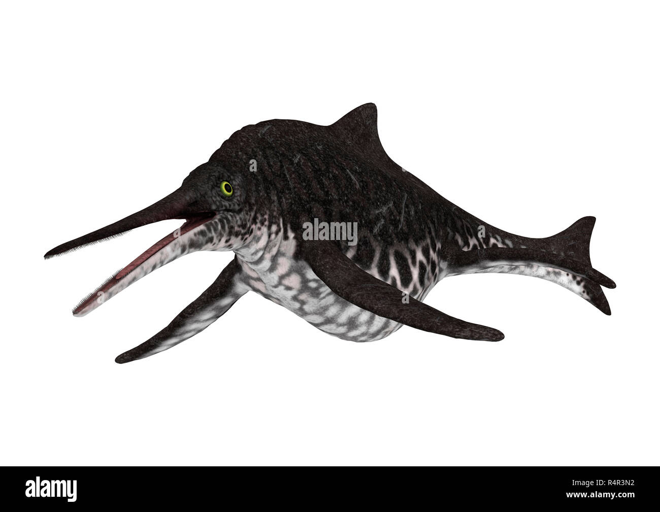 3D Rendering Ichthyosaur Shonisaurus on White Stock Photo - Alamy